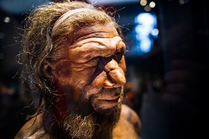 How Smart Were Neanderthals?
