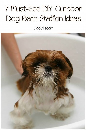 7 Must-See DIY Outdoor Dog Bath Station Ideas - DogVills