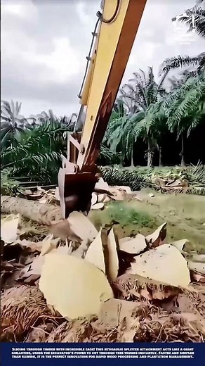 Excavator Tree Slicing Machine Innovation for palm oil plantation replanting