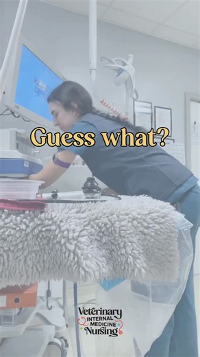 Here’s the proof 👇🏼 In a 2020 study in Canada: ➡️ Practice revenue increased by $80k for every additional veterinary technician per one vet ➡️ Technician utilisation was association with a $355k difference in practice revenue - lower technician utilisation scores, lower revenue And most importantly... 💰Clinics where technicians earned >$21/hour generated an additional $122k in revenue on average, compared with clinics paying technicians