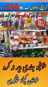 20K views · 161 reactions | WhatsApp03001880408 _03001890408   Dollar Mart Basement ma hai saima Paari mall North Nazimabad near Hyderi market Karachi #decembersale2025 #foryoupageシforyou #aneelaadnan #foryouシ #newvideo #WinterSale #viralvideo #foryoupageシ | Aneela Adnan | Facebook