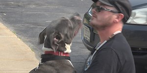 New Illinois law to end insurance restrictions for certain dogs breeds