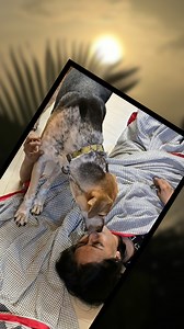 Dear friends, sharing this video with this beautiful song to celebrate life & love in sixty seconds. JIYA, the enterprise and Jiya, the furry kiddo happened to me exactly at the same time, about one year ago. This entire video was shot yesterday to cherish a relationship that has made my heart fuller & my life brighter in more ways than one. May this bring you #happiness & #joy ! #RescueDog #dontshopadopt #indiedogs #desidogs #madeinindia | Mohar