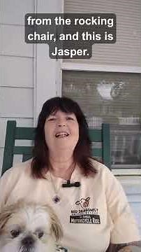 How I Communicate With Animals | Tails from the Rocking Chair