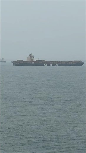 Mafia Shipping Company ☠️MSC Container ship 🚢 #ship #sea #explore #shiplife #minivlog