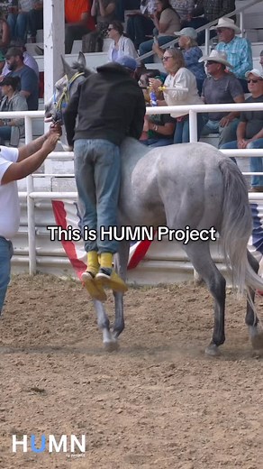 6 comments | This is HUMN Project - a media brand telling stories of people, subcultures, and moments often overlooked.  Full videos always on YouTube - link in bio. #documentary #documentaryshort #storytelling #realpeople #subculture #untoldstories #humanconnection #behindthecamera #behindthescenes #story #storytelling | HUMN project | Facebook