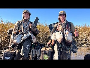 Duck Hunting a LOADED HIDDEN Corn Slough