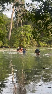 215K views · 4.4K reactions |  Corcovado National Park is...