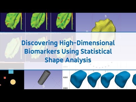 Discovering High-Dimensional Biomarkers Using Statistical Shape Analysis