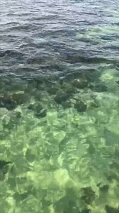 3.1K views · 46 reactions | The Ministry of Environment and Climate...