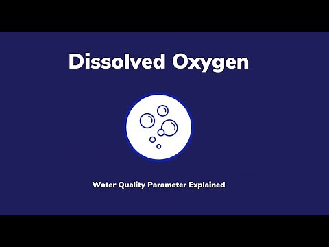 Dissolved Oxygen