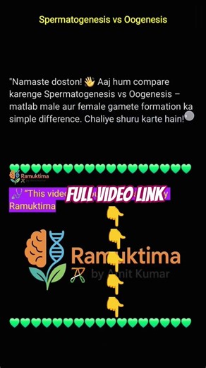 Spermatogenesis vs Oogenesis | Spermatogenesis vs Oogenesis in Hindi | Male vs Female Gametogenesis