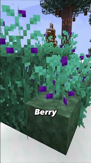 This mod puts Minecraft into an Ice age