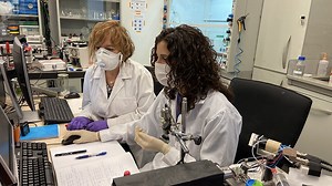 Un test rápido, barato y de altísima sensibilidad para diagnosticar la COVID-19 desde el primer día de la infección - Fundación BBVA