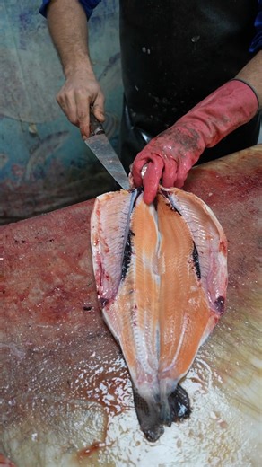 How to Clean and Prepare Trout for Frying That Will Impress Everyone
