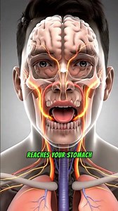 Love Spicy Food? Watch What Happens Next!🔥🤯#bodyreactions #dailyhealthtips #healtheducation #science