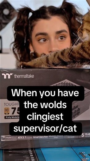 I love him🥹 comment with your cats photo, I wanna see them all🥹 #fyp #halloftech #cats #meow