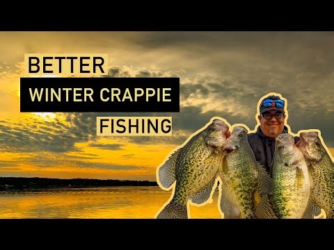 Winter Crappie Secrets That Nobody Tells You