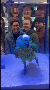 This parrot didn’t drown… He became a swimming champion 💦🦜🔥 Follow Savage Parrot for daily viral laughs. #SavageParrot #FunnyParrot #AnimalComedy #ViralPets #PetShop | Savage Parrot