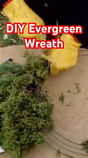 How to Prune Evergreens for Christmas Decor + DIY Wreath Tutorial