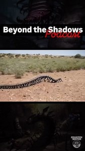 16K views · 31 reactions | Listen to Beyond the Shadows podcast with Ryan and Scott @beyondtheshadowspodcast #Spooky #Scary #Creepy #Terrifying #Unknown #Cryptid #Paranormal #ParanormalPodcast #shadowpeople no copyright infringement intended if this is your video DM me and I will take it down | Beyond the Shadows Podcast | Facebook