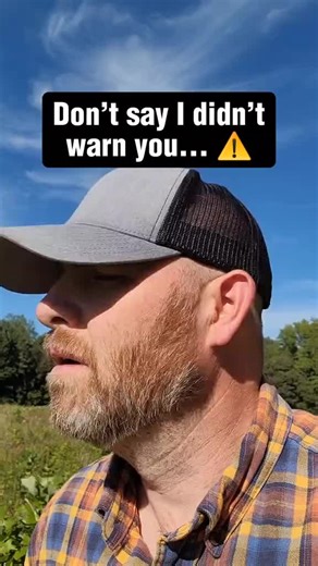 dailyincomeplaybook (@dailyincomeplayboo46)’s videos with original sound - dailyincomeplaybook