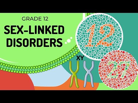Sex linked Genetic diagrams