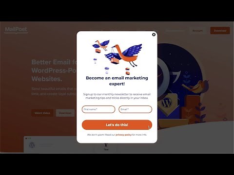 How to Use the New MailPoet Form Editor