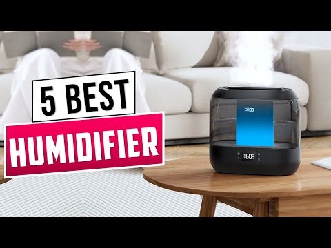 Top 5 Best Humidifiers 2025 | Humidifiers for Bedroom Large Room!