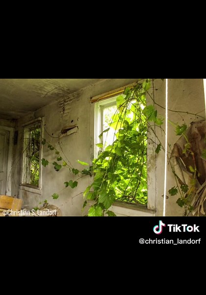 Exploring a Forgotten Farm in Rural Wisconsin