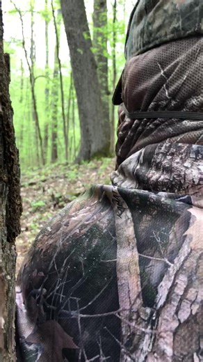 Preparing for Turkey Season: Tips and Insights