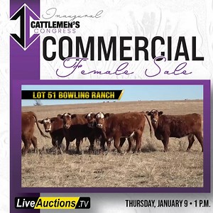 LiveAuctions.TV on Reels