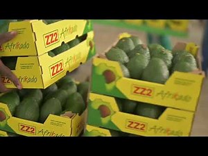 2022 - ZZ2 (SOUTH AFRICA) - Avocado Turnkey Line-8 Lane Pomone sizer with Globalscan 7 UV