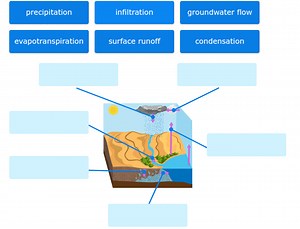 The user has provided an image depicting the water cycle with s... | Filo