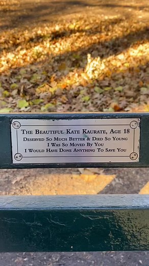 Central Park Bench in New York