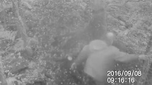 Ron Davies on CCTV accused of sabotaging mountain cycle path