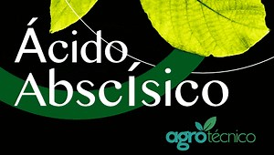 Ácido Abscísico | Agrotécnico