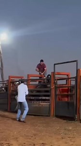 Rodeo Training Cia Rio Formoso #rodeocowgirl #rodeophotography #rodeoready #rodeocrownswidebowl #RodeoCrowns #rodeotraviscott #rodeos #rodeodr #rodeofun #rodeoh #rodeotime #rodeohouston #rodeofashion #rodeo #rodeostyle #rodeohs #rodeogirls #rodeohorse #rodeoannouncer #rodeoand5thlifestyle #rodeosport #rodeoqueen #rodeoand5th #rodeotimetuesday #RodeoAustin #rodeodriveboutique #Rodeorealty #RodeoShow #rodeolife | RODEO Channel