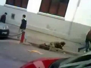 Top 2014-2015 Funny Arabe Maroc 2014 !!