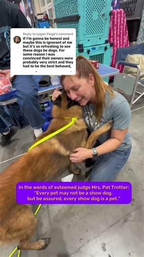 Show dogs spend moments in the ring; the rest of the time, they are beloved pets. #dog