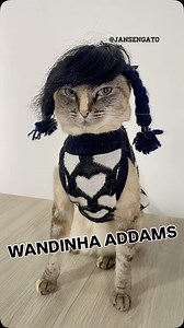 245K views · 15K reactions | Wandinha Addams voltou  Siga @jansenvida #jansengato . #gato #wandinhaaddams #wandinha #cosplay #netflix #gatosengraçados #wednesday #wednesdayaddams #funnycats | JansenGato | Facebook