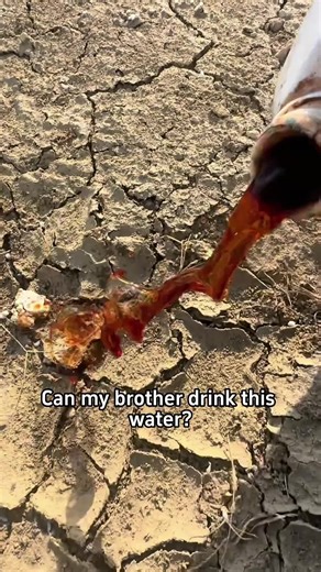 Can My Brother Drink This Water? A Science Perspective