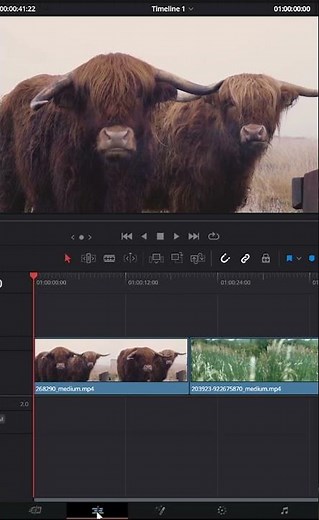 How To ADD TRANSITIONS In Davinci Resolve 20 Easy & Fast