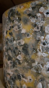 76K views · 837 reactions | A tour of the aging rooms at Holden Farm dairy, Wales gbwls 燎 #cheese #cheddar | Claudia Romeo | Facebook