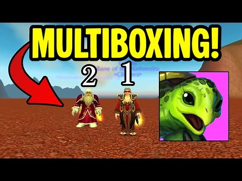 MULTIBOXING IN TURTLE WOW - TIPS & TRICKS!