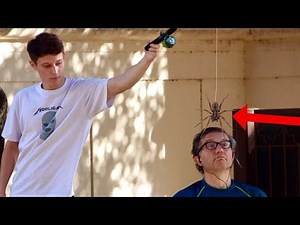 Spider on a String Prank