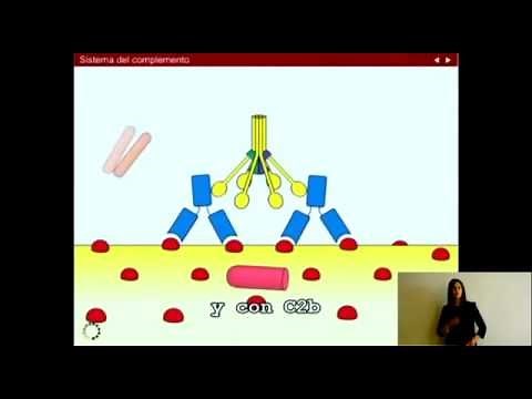 Canción Vía clásica del Complemento Español