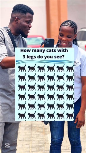 How many are with 3 legs?🤔 | Sparrows media