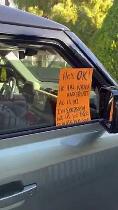 Lol thought it was a dog in the car and got mad at first 😂 | The Anna Show