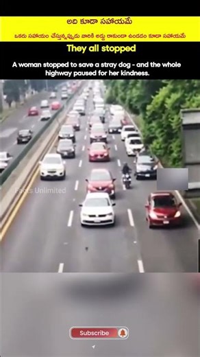 Allowing others to help is a great help in itself #shorts #shortsfeed #viral #viralvideos #quotes